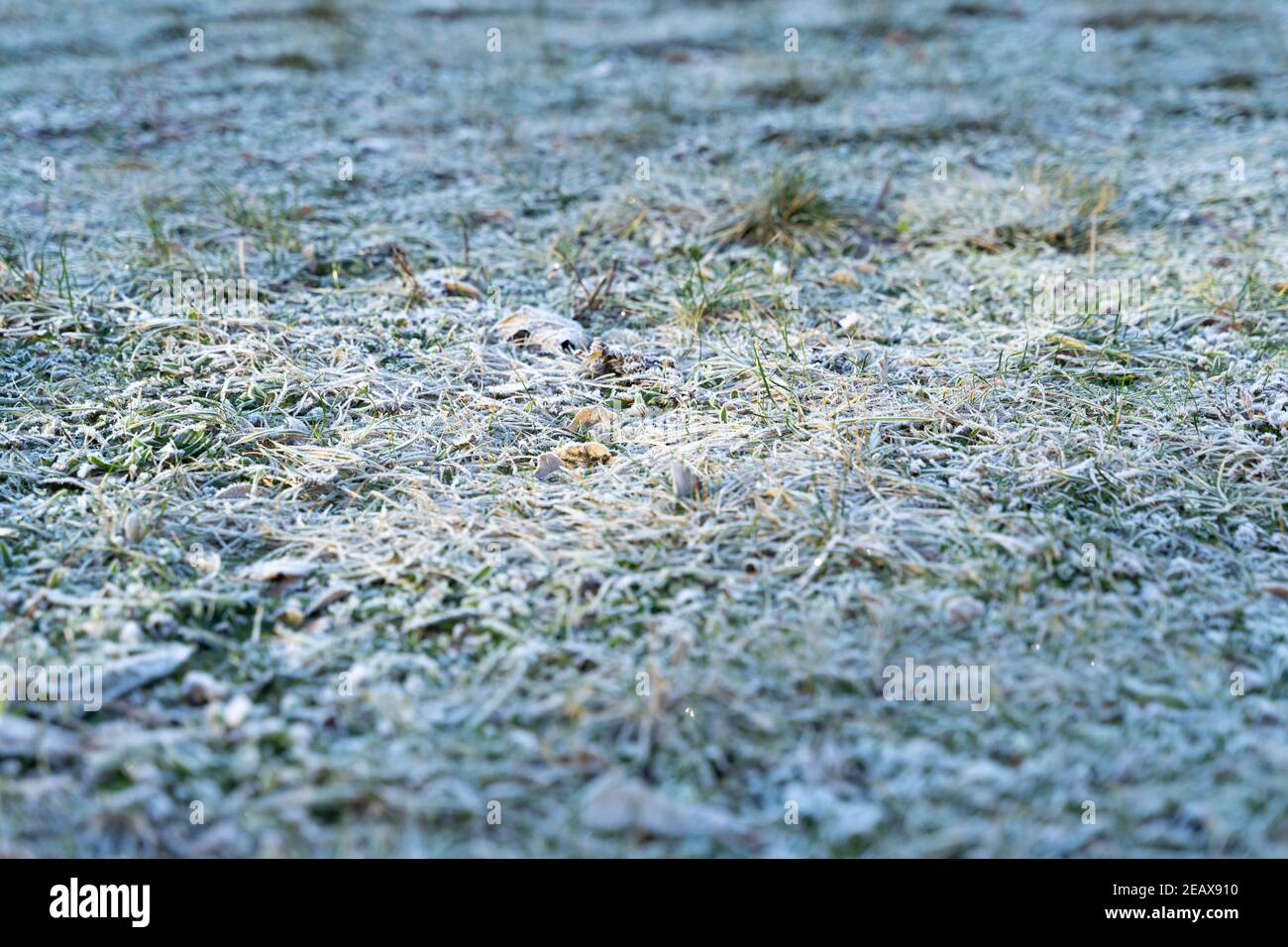 Frozen soil hi-res stock photography and images - Alamy