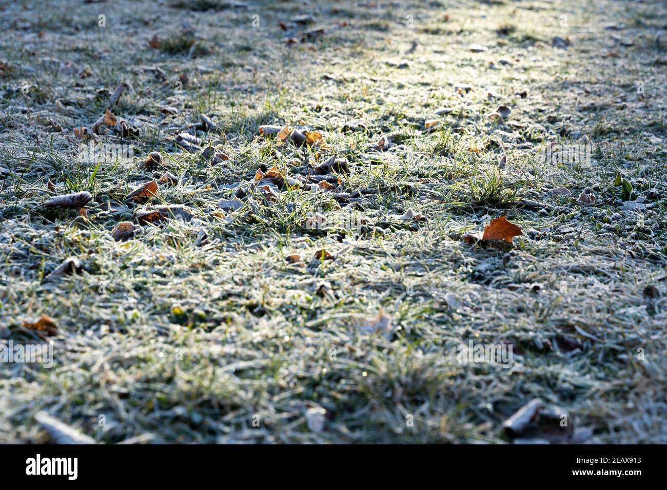 Frozen soil hi-res stock photography and images - Alamy