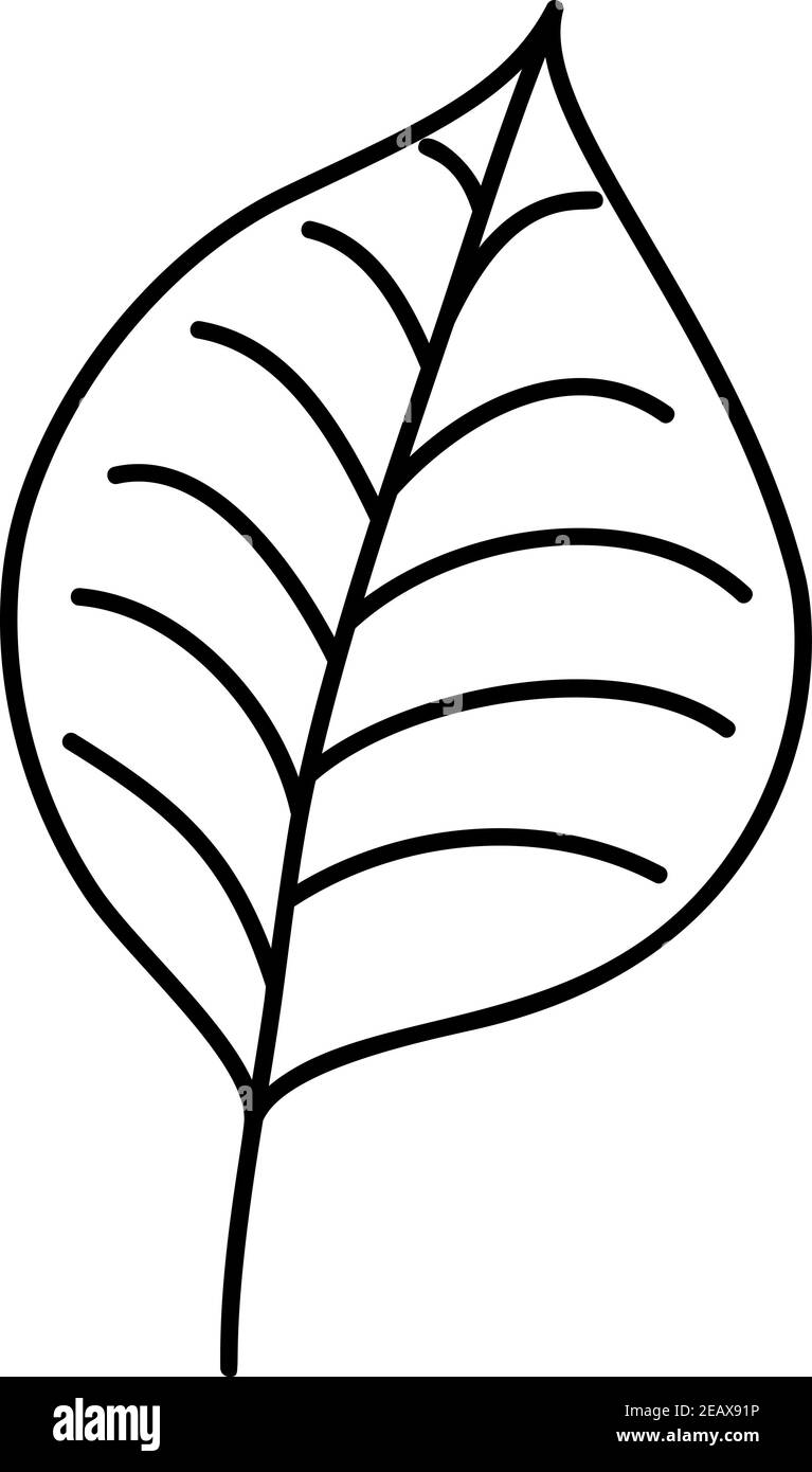 Spring Leaf Outline Vector line Icon. Doodle Spring Concept Minimal ...