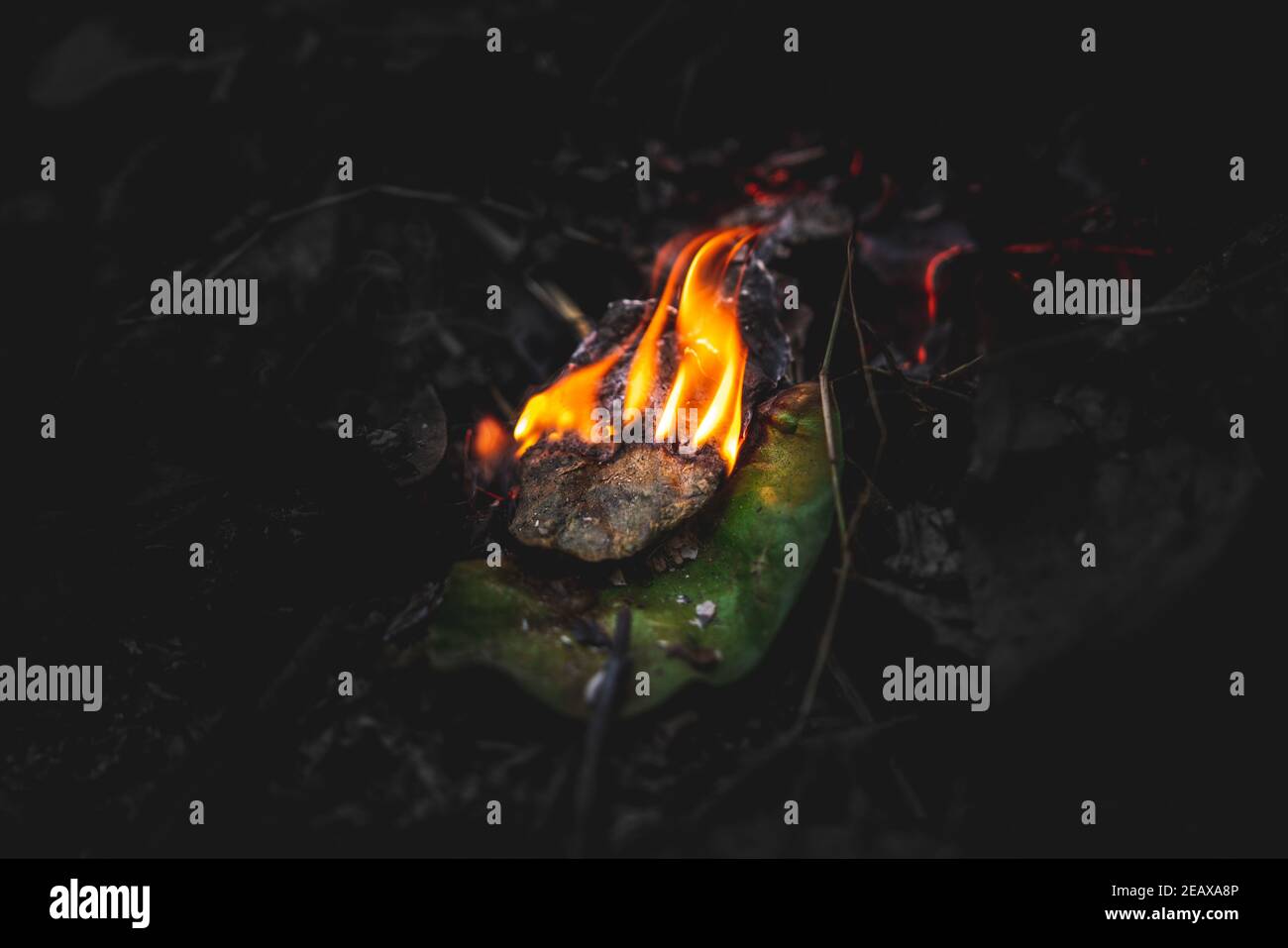 Closeup shot of fire burning with a grayscale background Stock Photo ...