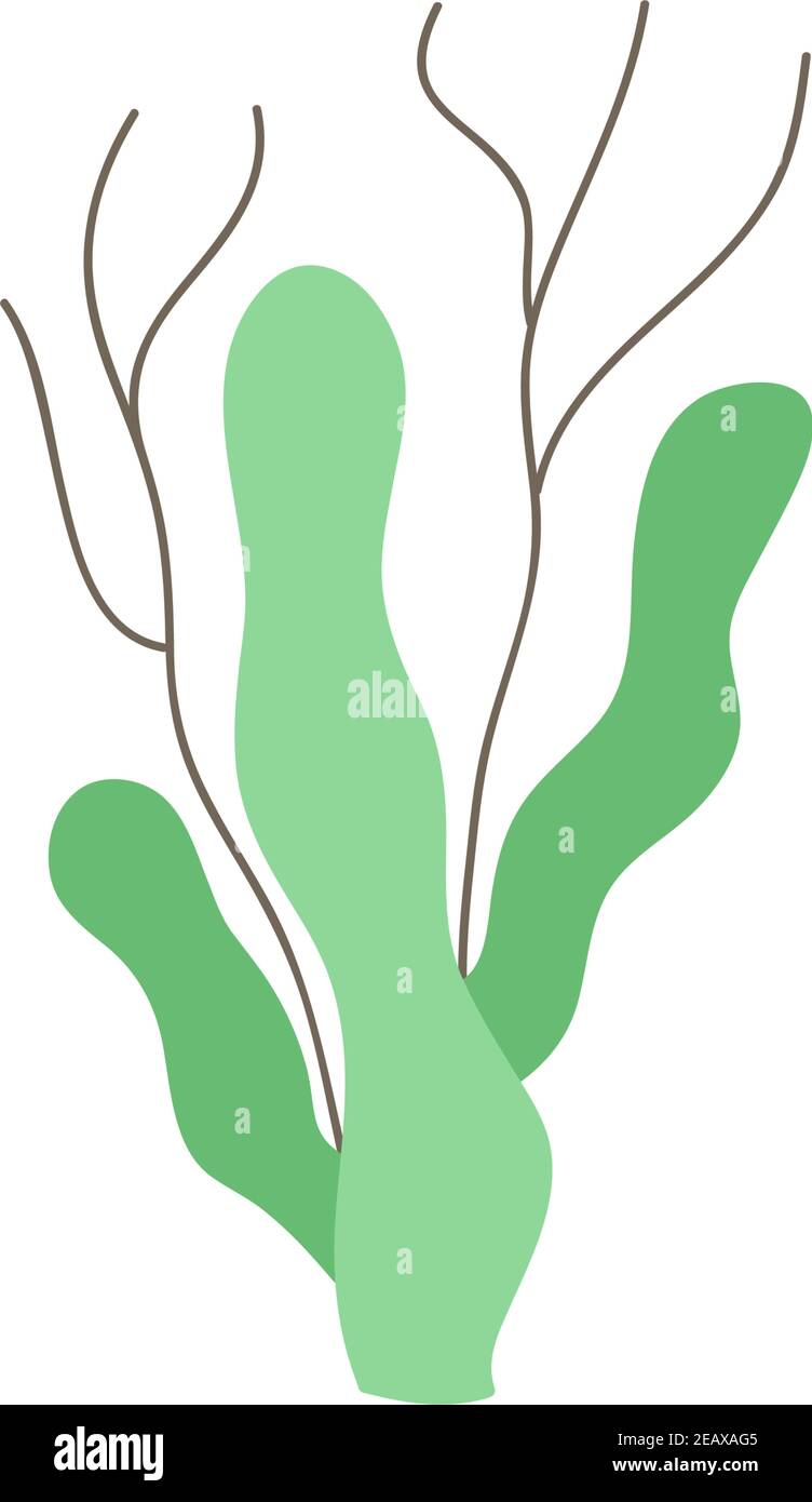 Seaweed cute vector illustration. Hand drawn ocean, marine, sea green ...
