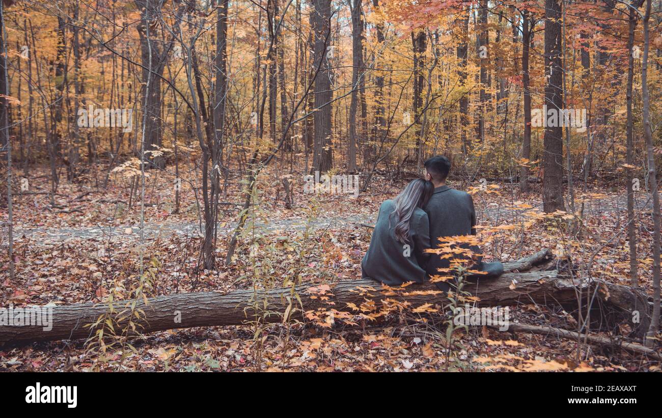couple in the woods with fall colors, being intimate in a forest ...