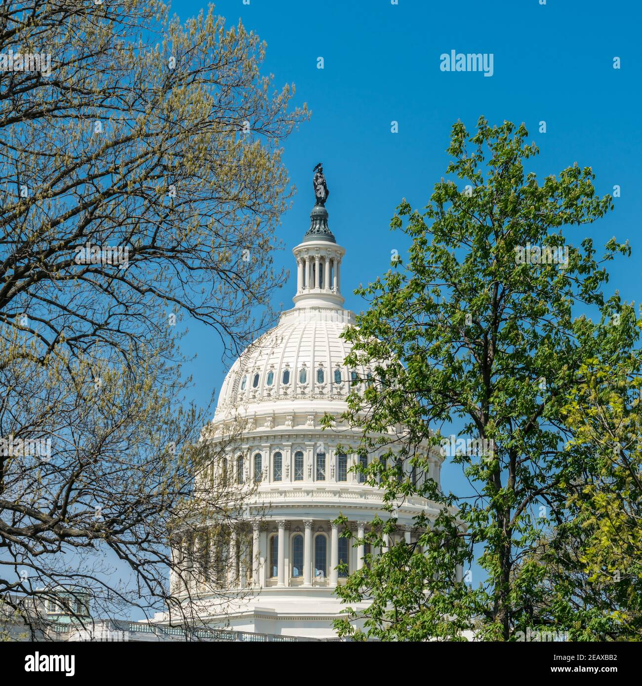 The Dome of the US Capitol Building on a sunny day with blue skies ...