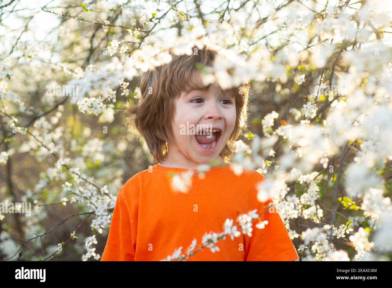 Spring happy kid with blooming tree. Summer park garden concept ...