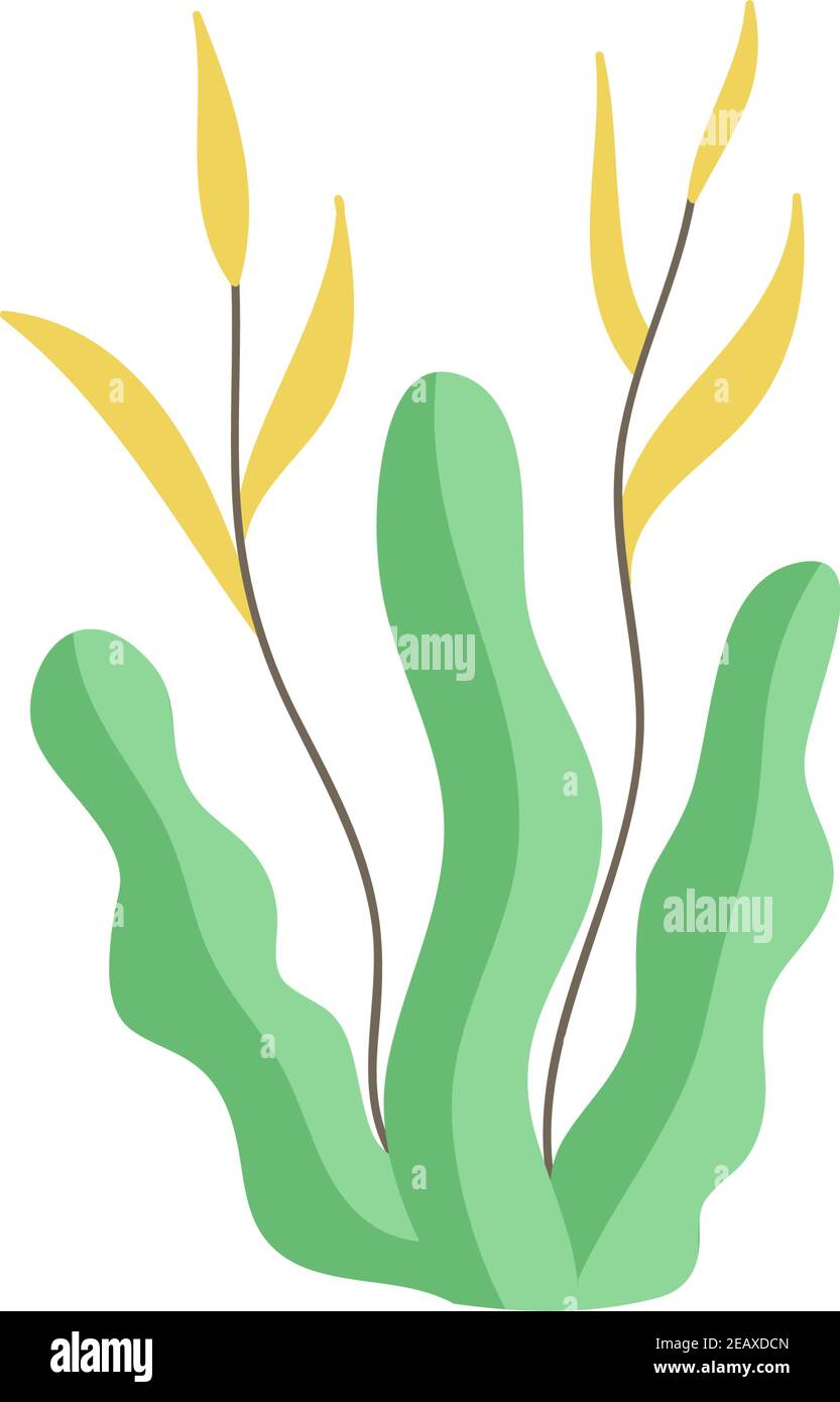 Seaweed cute vector illustration Stock Vector Image & Art - Alamy
