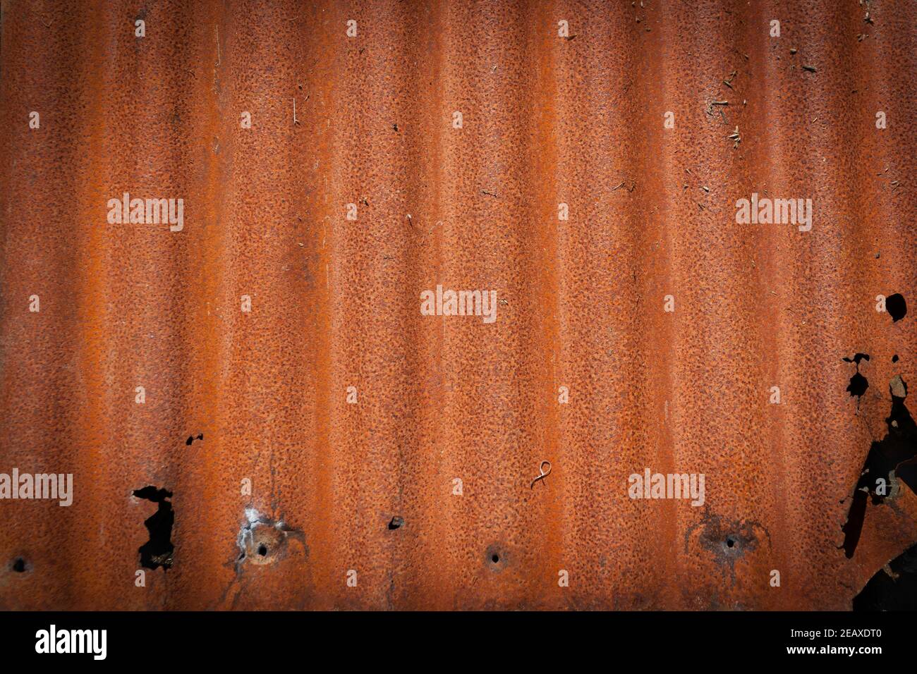 Rusty old corrugated sheet iron junk left on wall to rust away in close ...