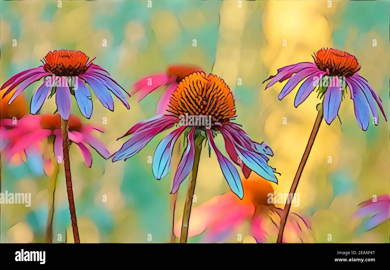 Dancing pink flowers hi-res stock photography and images - Alamy