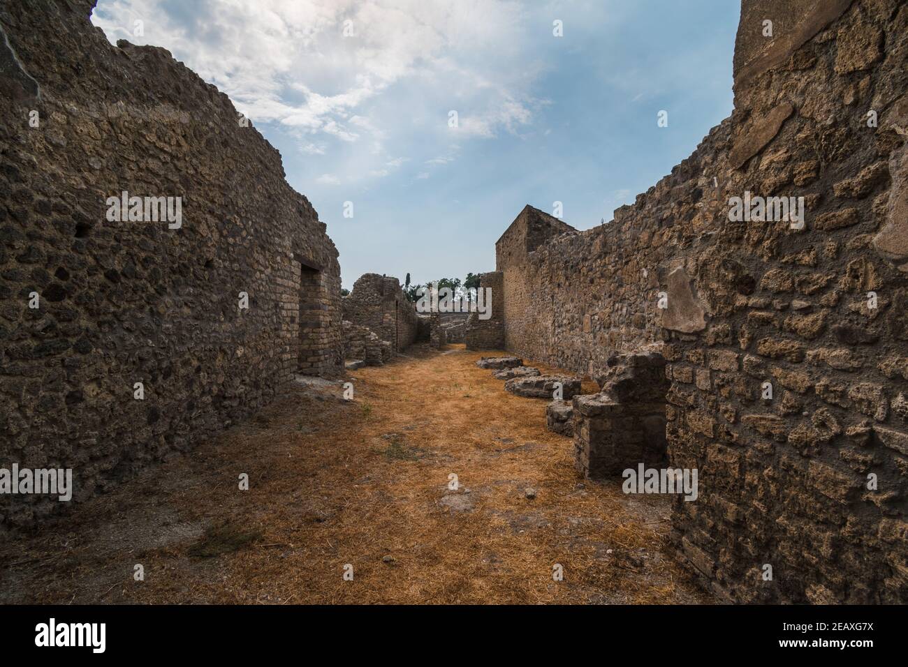 The ancient Roman ruins of Pompeii, near Naples; a historical city in ...