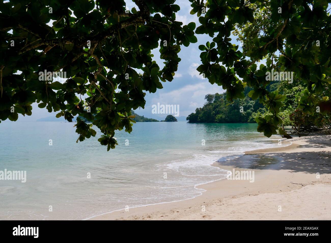 Janda hi-res stock photography and images - Alamy