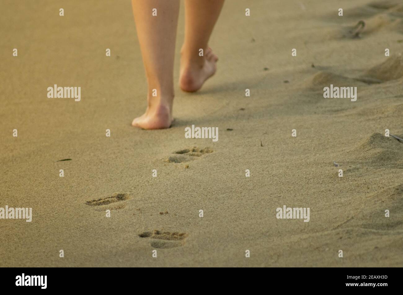 Neat womans feet making a trace in the sandy beach - holiday memories ...