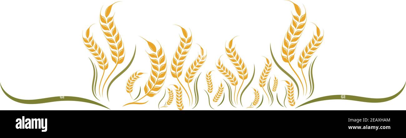 Agriculture wheat Logo Template vector icon design Stock Vector Image ...