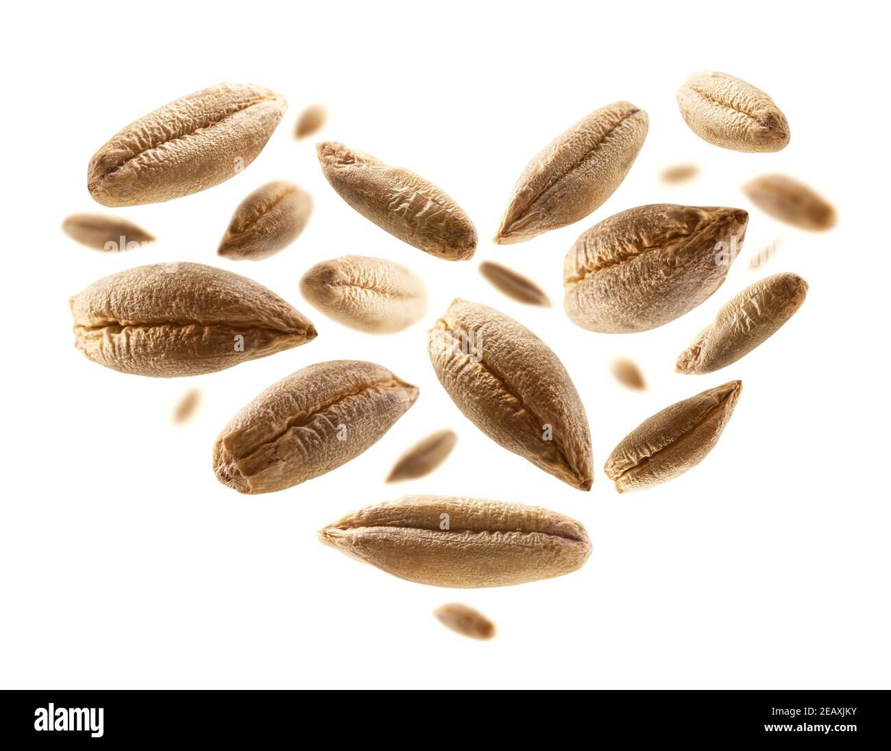 Rye grains in the shape of a heart on a white background Stock Photo ...