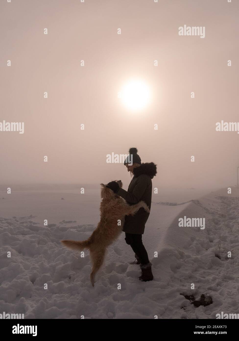 Cheerfumiddle-aged woman in a coat hugging her dog on the snowy field ...