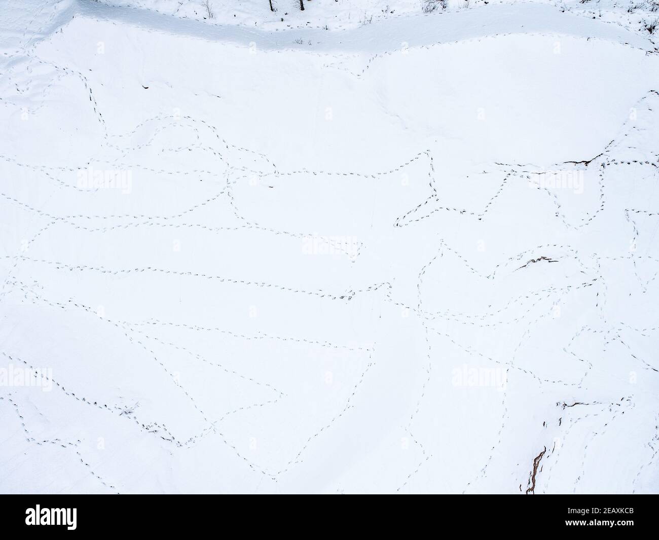 Aerial view of a snowy field covered in footprints in a park in winter ...