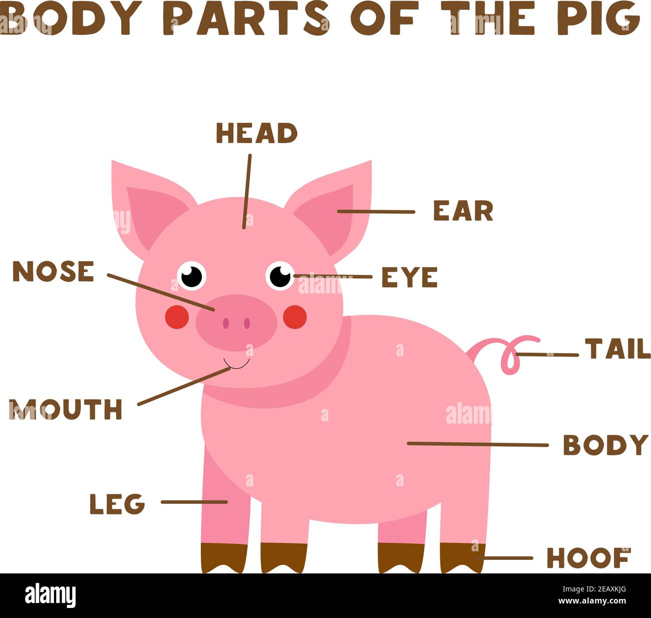 Body parts of the cute cartoon pig. Animals anatomy in English for kids ...
