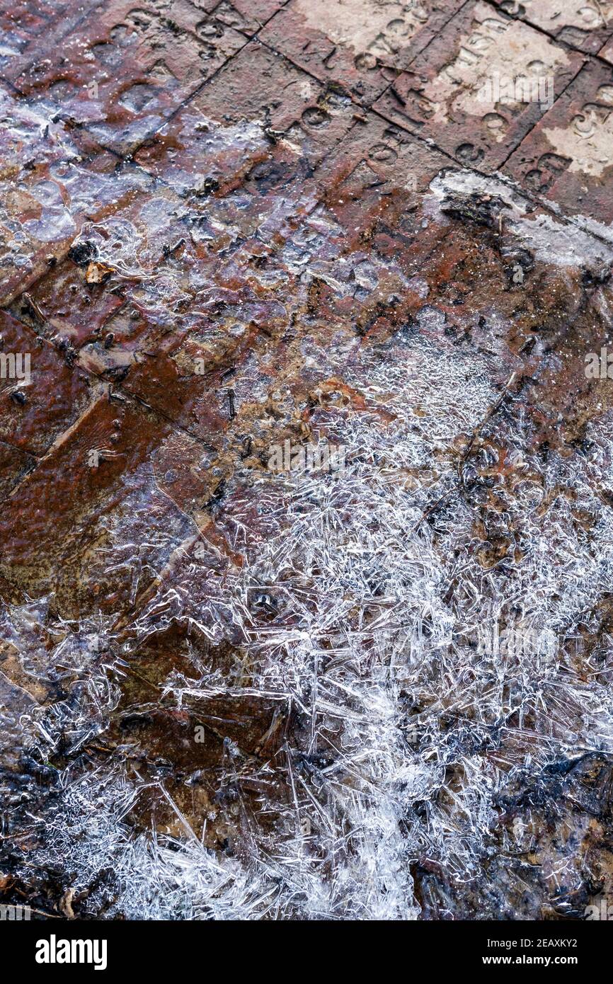 "Farewell to the Forest" imprinted brick pavement and a "lost" artwork ...