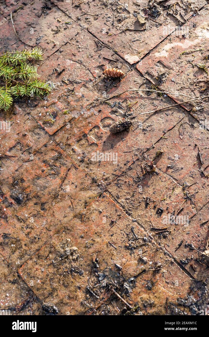 "Farewell to the Forest" imprinted brick pavement and a "lost" artwork ...