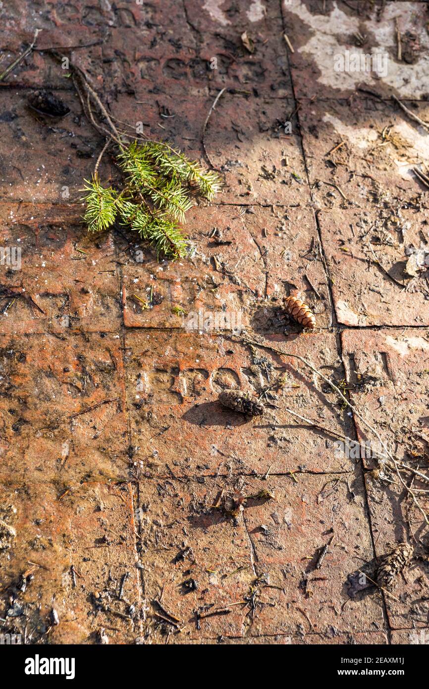 "Farewell to the Forest" imprinted brick pavement and a "lost" artwork ...