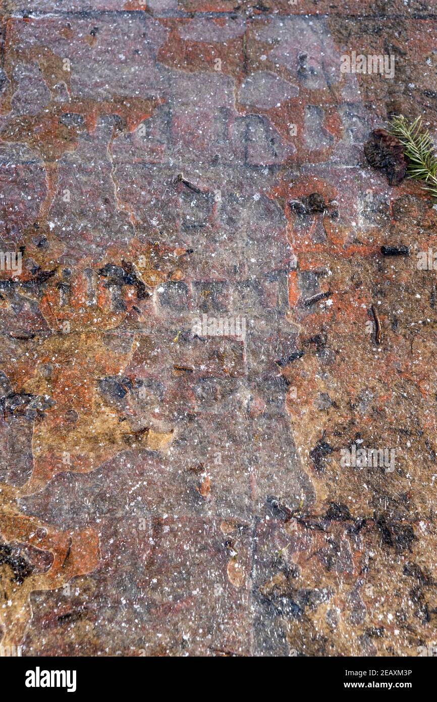 "Farewell to the Forest" imprinted brick pavement and a "lost" artwork ...