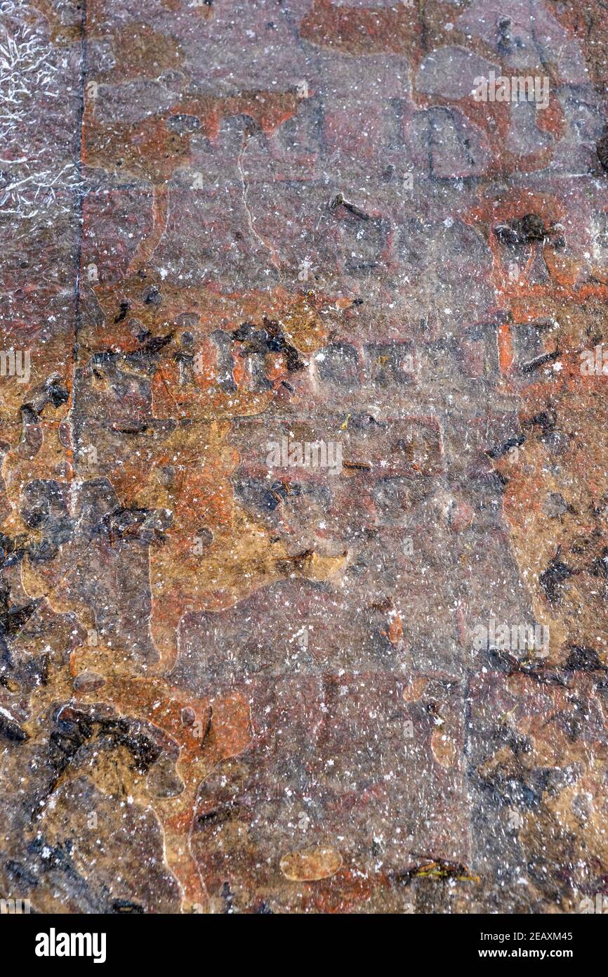 "Farewell to the Forest" imprinted brick pavement and a "lost" artwork ...