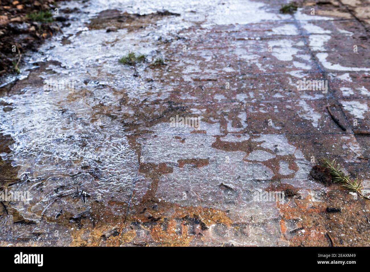 "Farewell to the Forest" imprinted brick pavement and a "lost" artwork ...