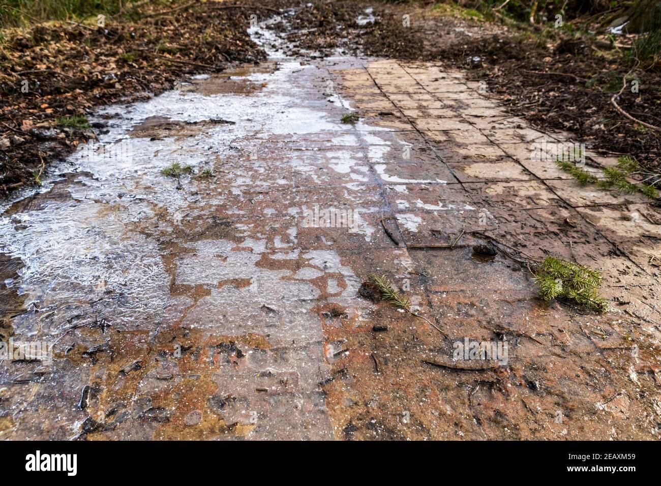 "Farewell to the Forest" imprinted brick pavement and a "lost" artwork ...