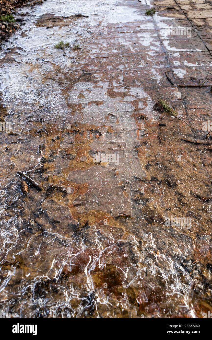 "Farewell to the Forest" imprinted brick pavement and a "lost" artwork ...