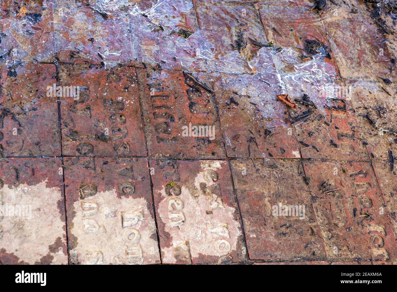 "Farewell to the Forest" imprinted brick pavement and a "lost" artwork ...