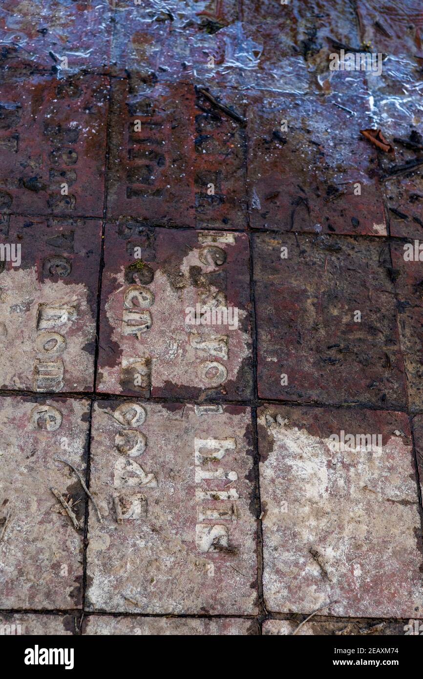 "Farewell to the Forest" imprinted brick pavement and a "lost" artwork ...