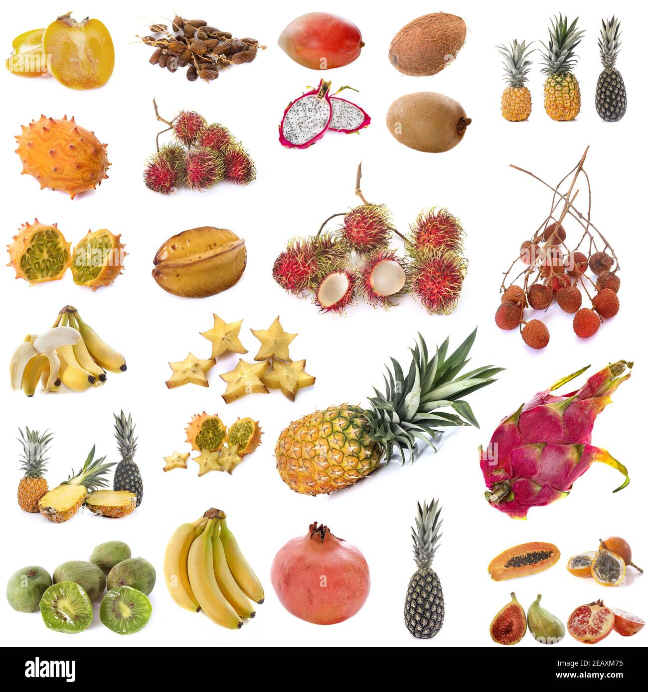 composite picture of exotic fruits in front of white background Stock ...