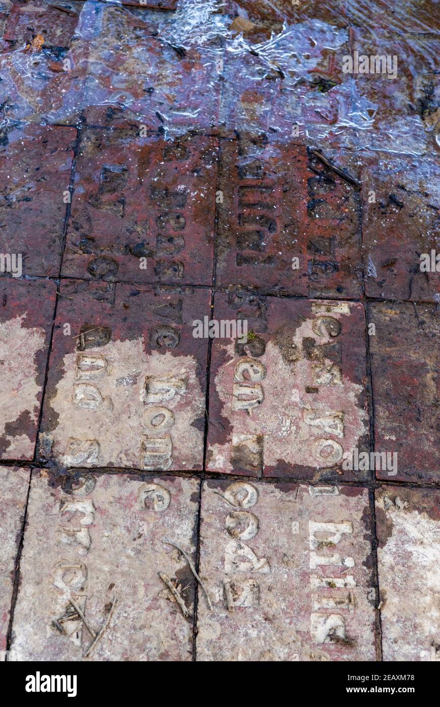 "Farewell to the Forest" imprinted brick pavement and a "lost" artwork ...