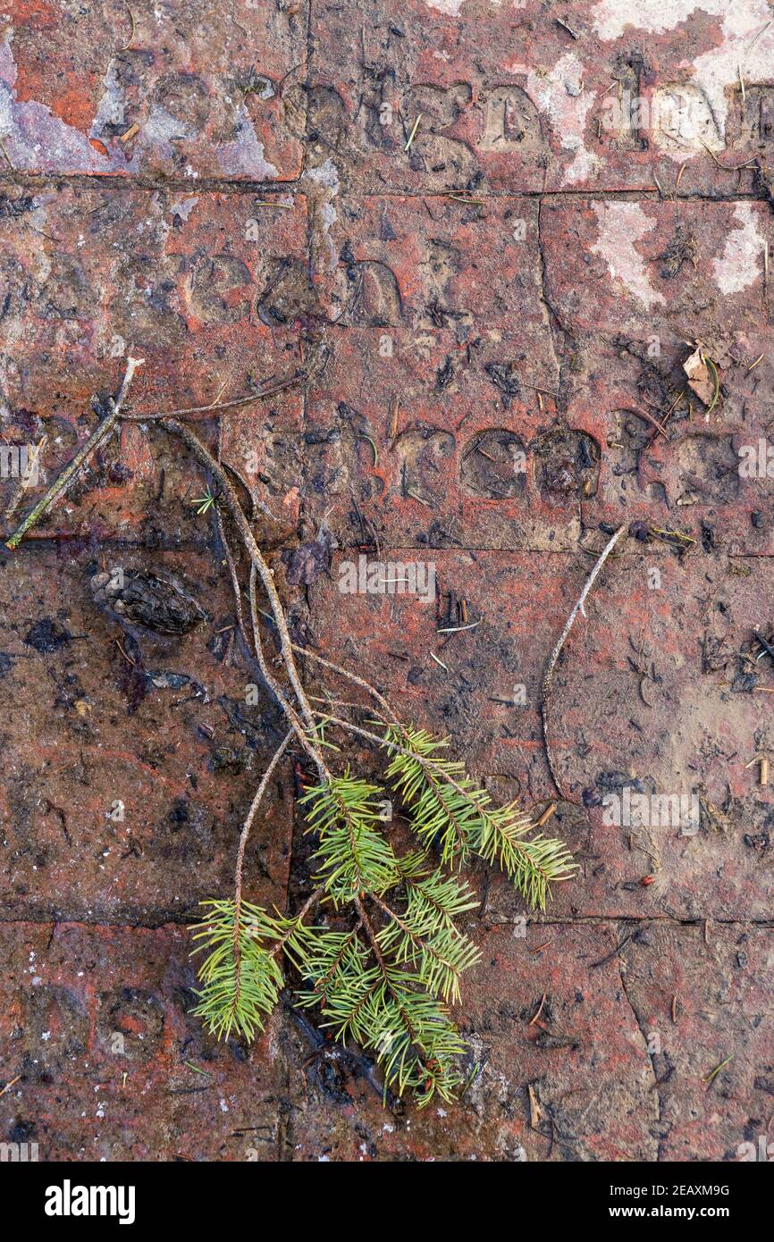 "Farewell to the Forest" imprinted brick pavement and a "lost" artwork ...
