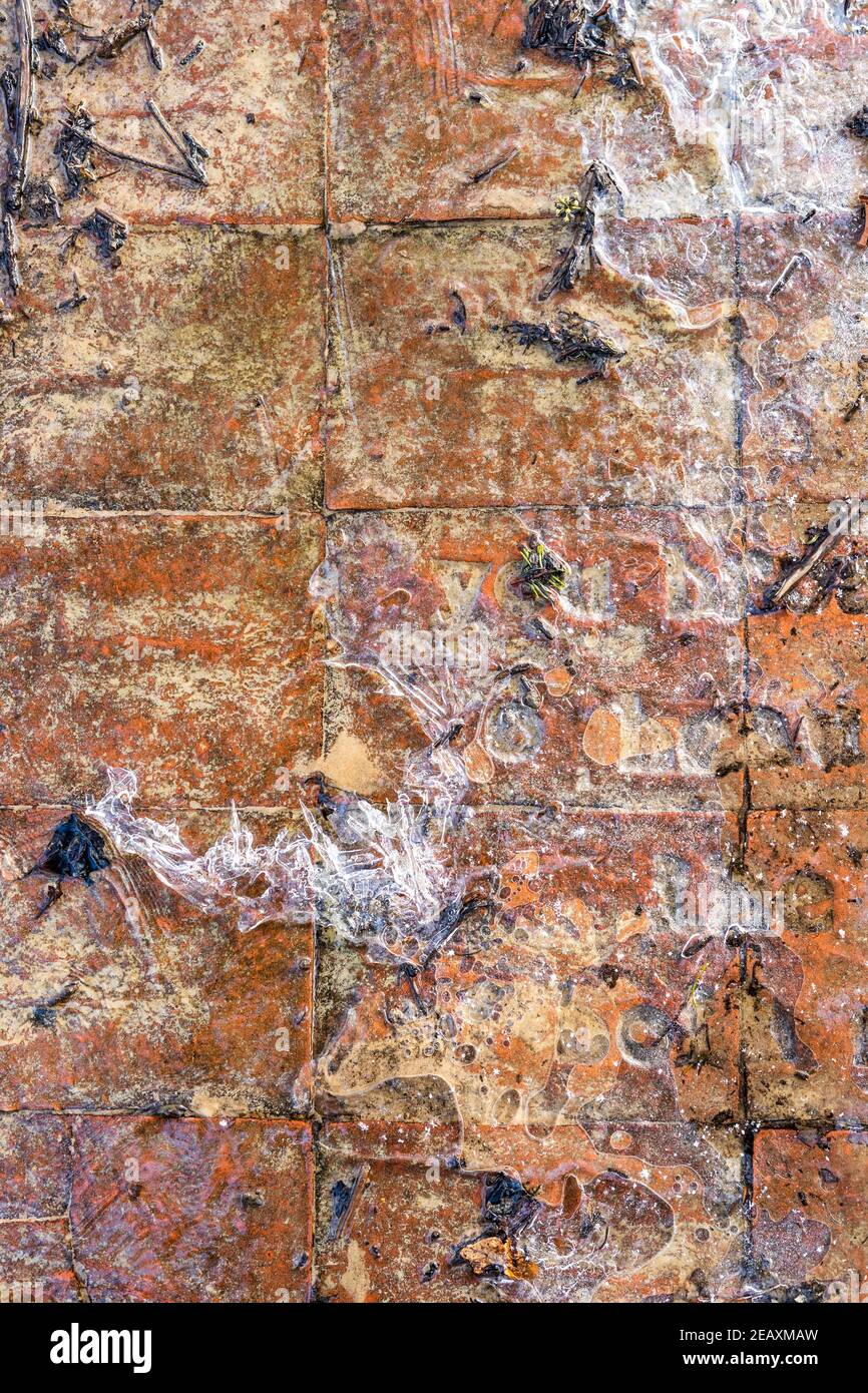 "Farewell to the Forest" imprinted brick pavement and a "lost" artwork ...