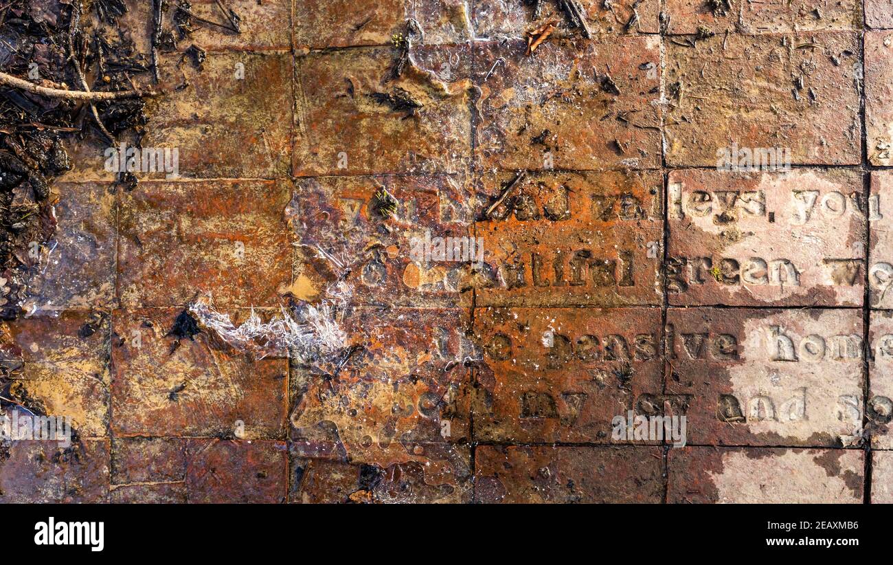 "Farewell to the Forest" imprinted brick pavement and a "lost" artwork ...