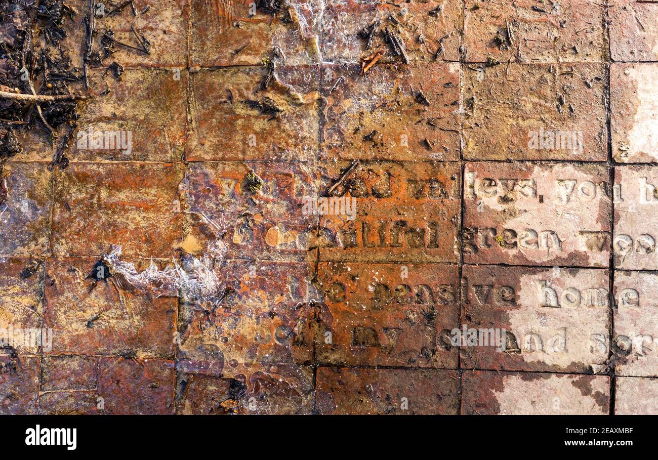 "Farewell to the Forest" imprinted brick pavement and a "lost" artwork ...