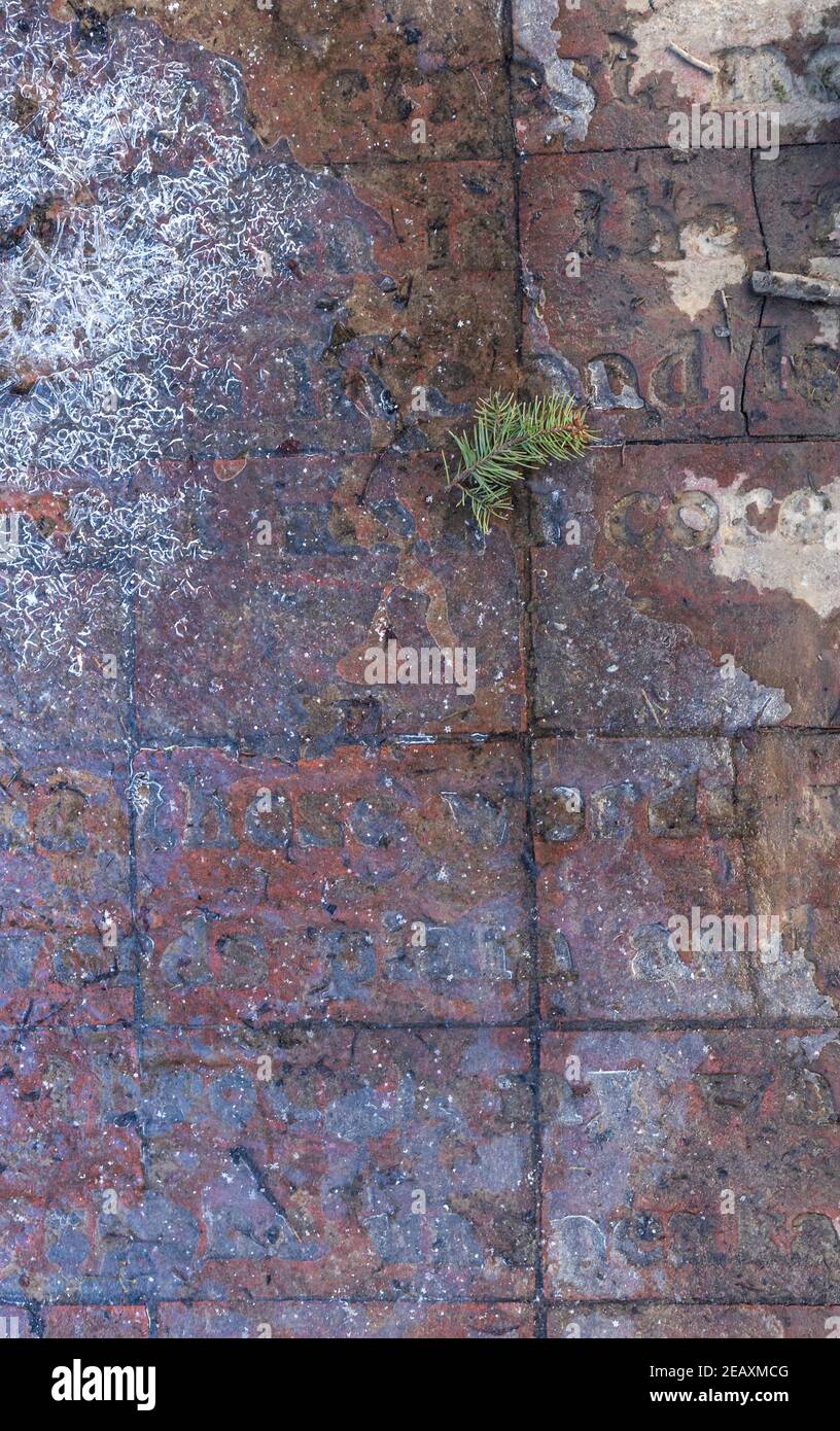 "Farewell to the Forest" imprinted brick pavement and a "lost" artwork ...