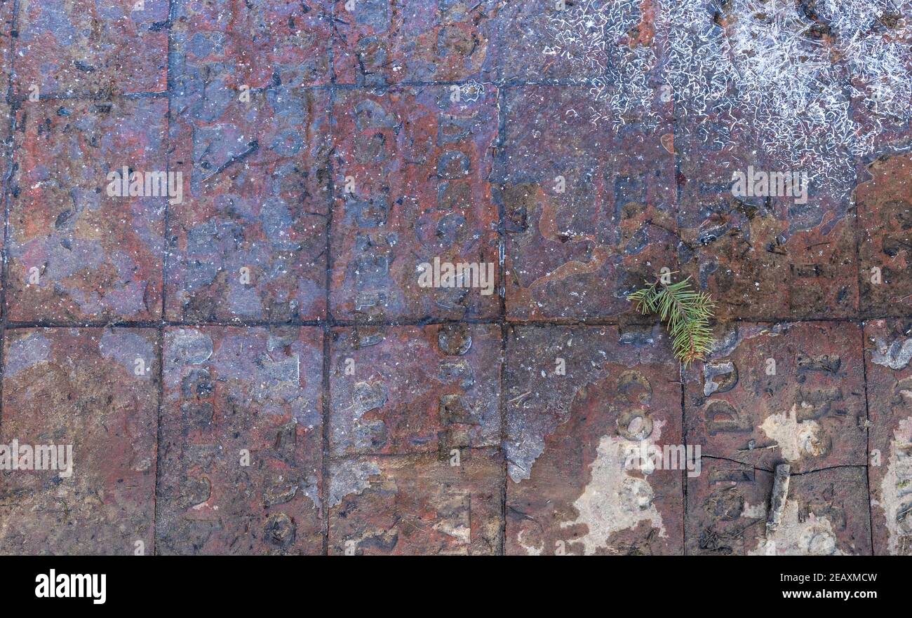 "Farewell to the Forest" imprinted brick pavement and a "lost" artwork ...
