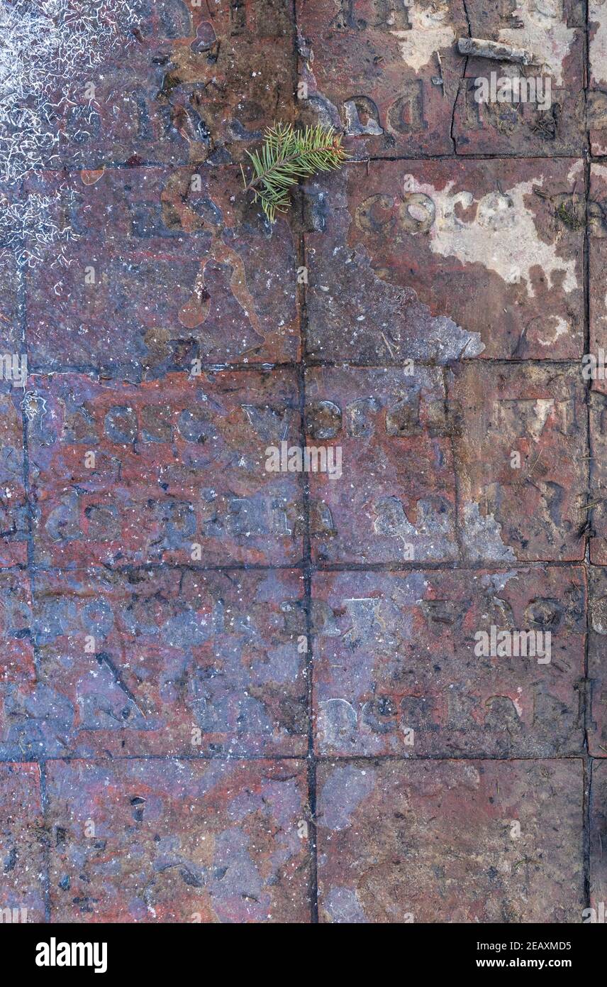 "Farewell to the Forest" imprinted brick pavement and a "lost" artwork ...