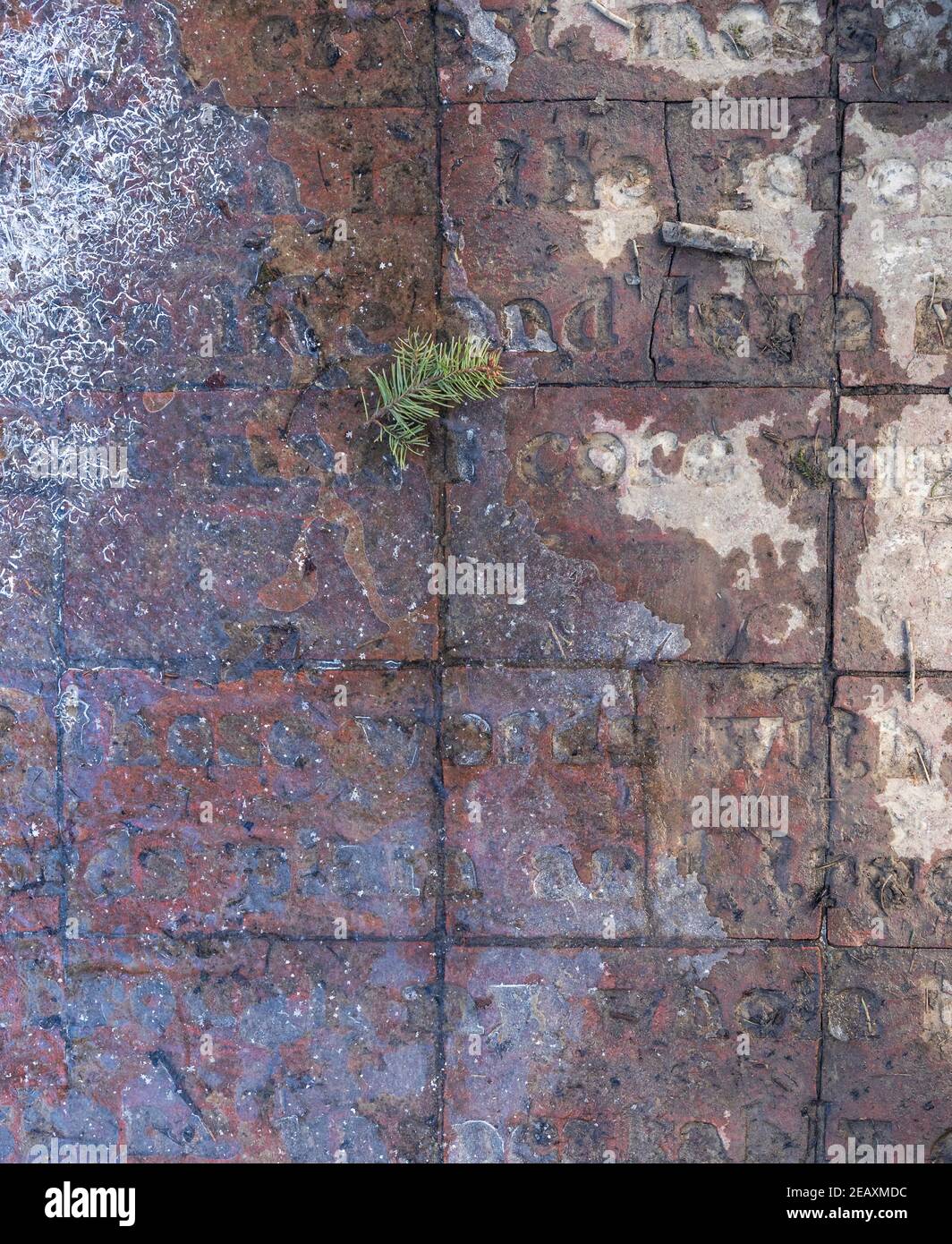 "Farewell to the Forest" imprinted brick pavement and a "lost" artwork ...