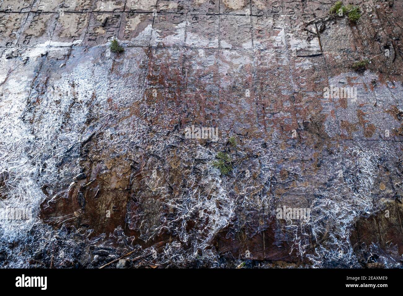 "Farewell to the Forest" imprinted brick pavement and a "lost" artwork ...