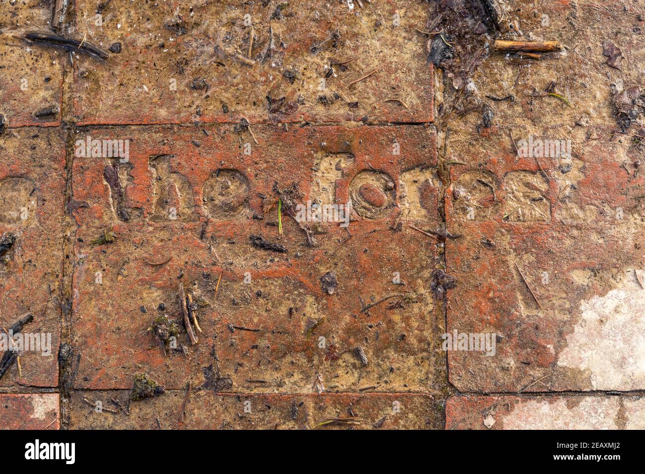 "Farewell to the Forest" imprinted brick pavement and a "lost" artwork ...