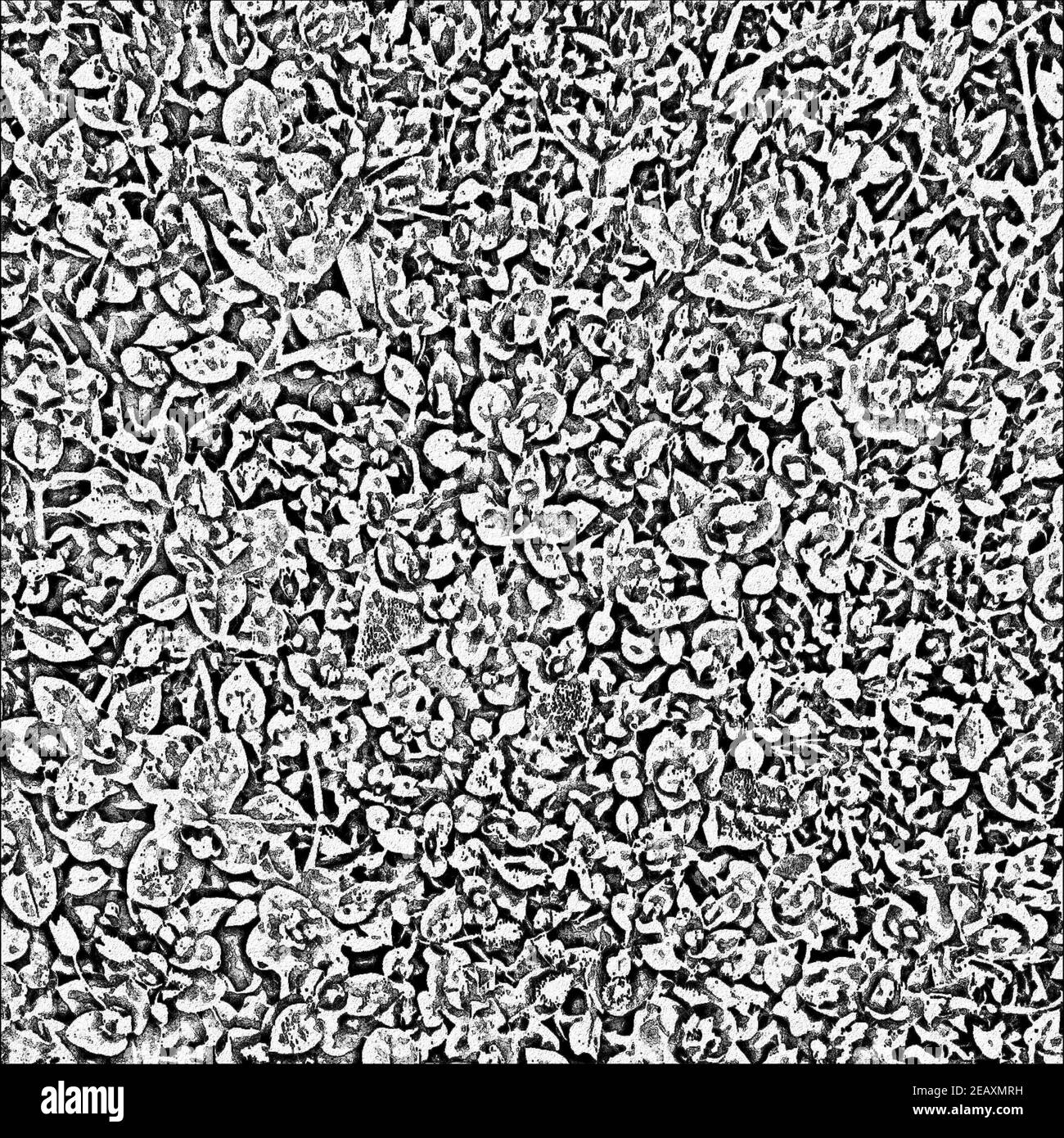 Etching lines texture Black and White Stock Photos & Images - Alamy