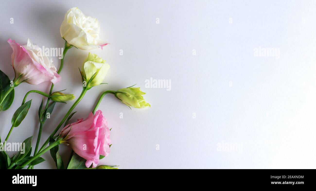 Colorful home grown roses flower arrangement top view Stock Photo - Alamy