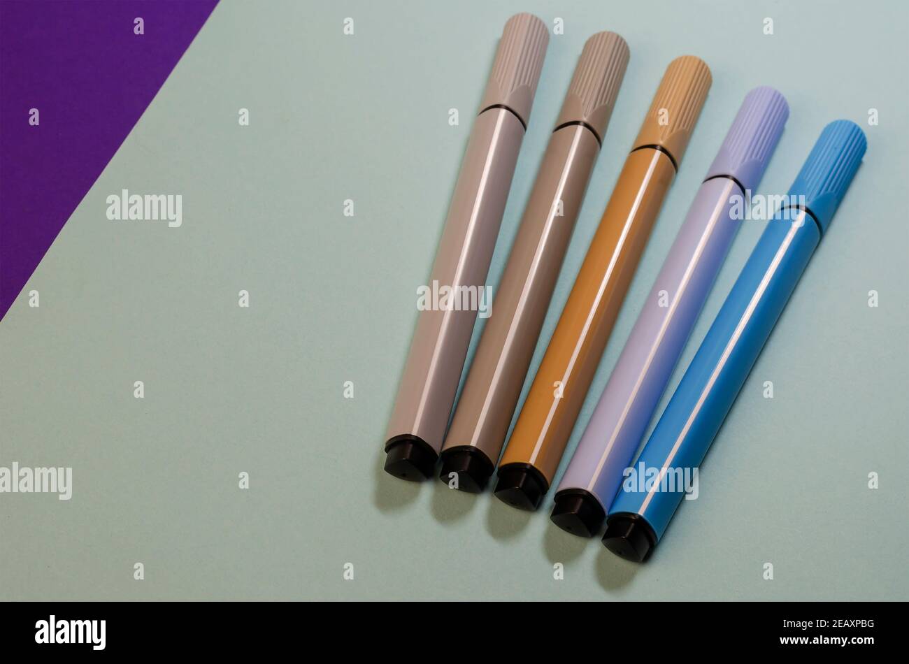 New multicolored felt-tip pens in pastel colors on a two-tone ...