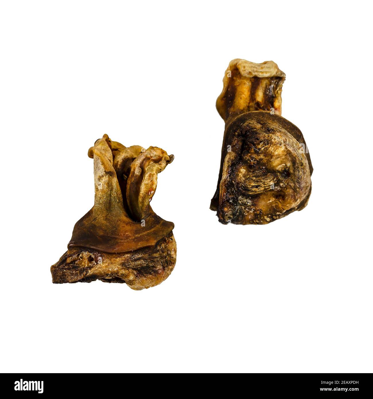 Pet treats. Dried ear cow on white background. Dental treat for dogs ...