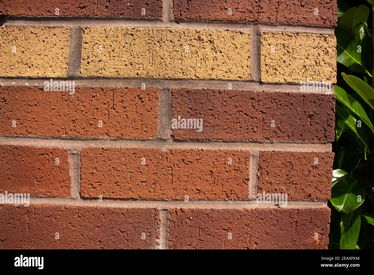 Vintage green wall corner interior hi-res stock photography and images ...