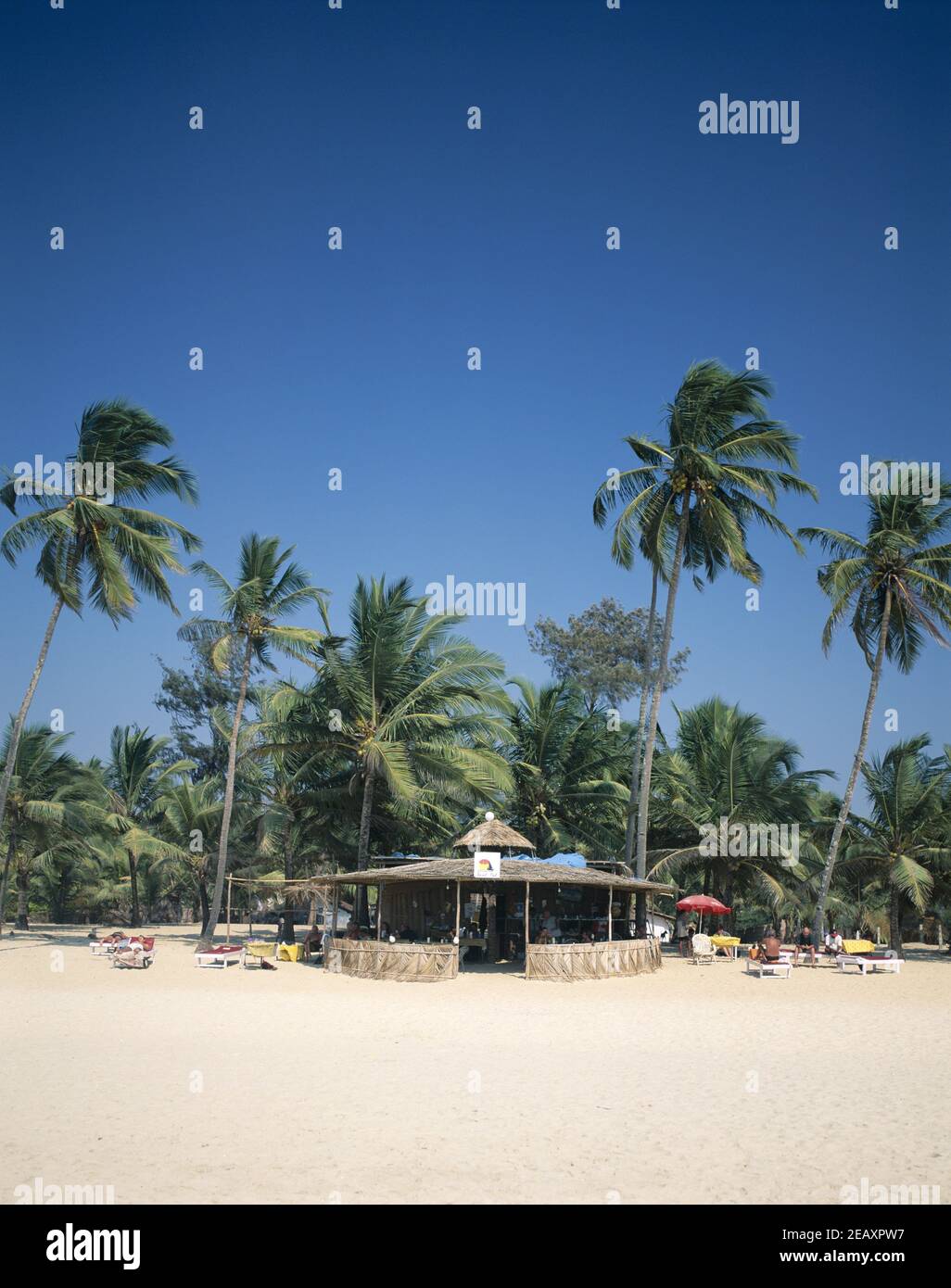 Asia, India, Goa, Colva beach Stock Photo - Alamy