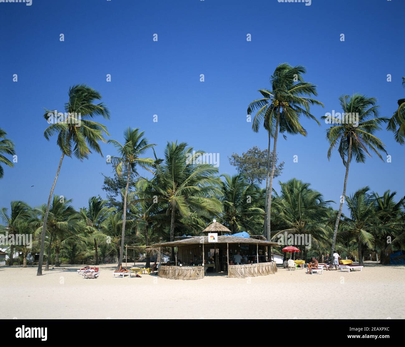 Asia, India, Goa, Colva beach Stock Photo - Alamy