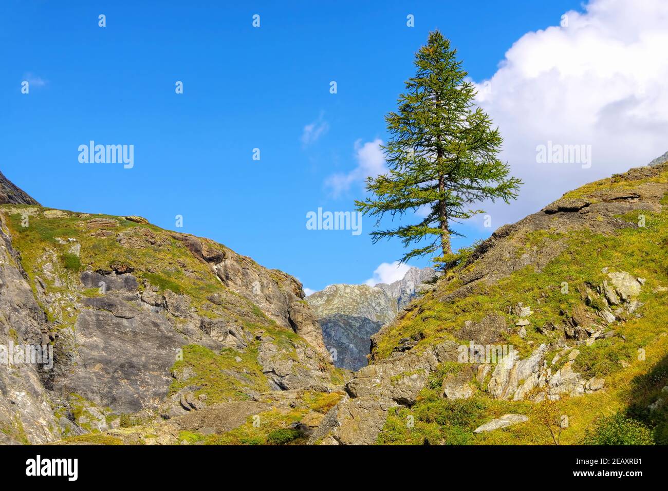 Ticino in switzerland hi-res stock photography and images - Alamy