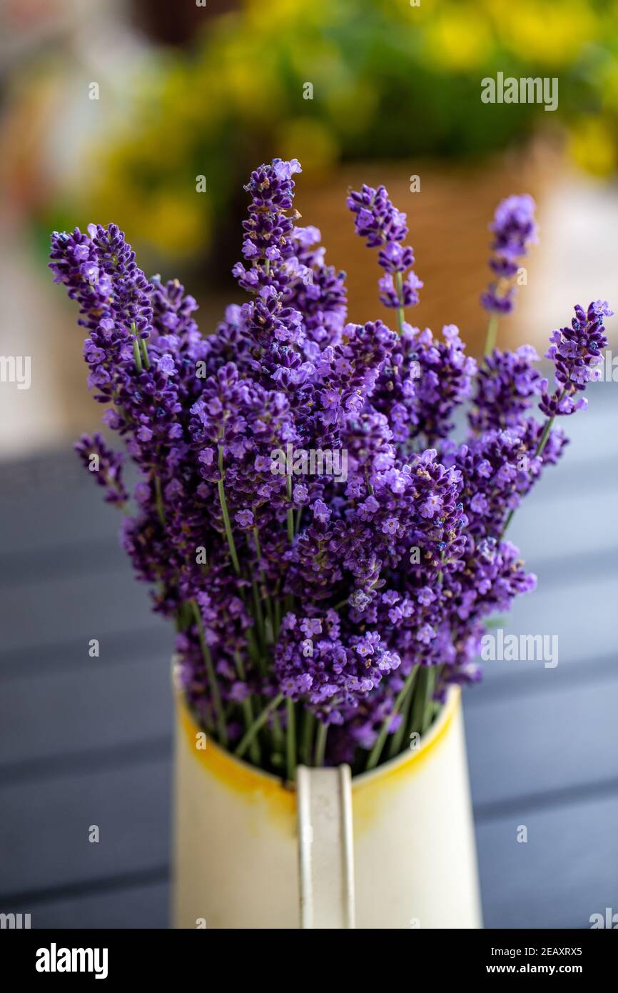 Outdoor lavender bouquet on table hi-res stock photography and images ...